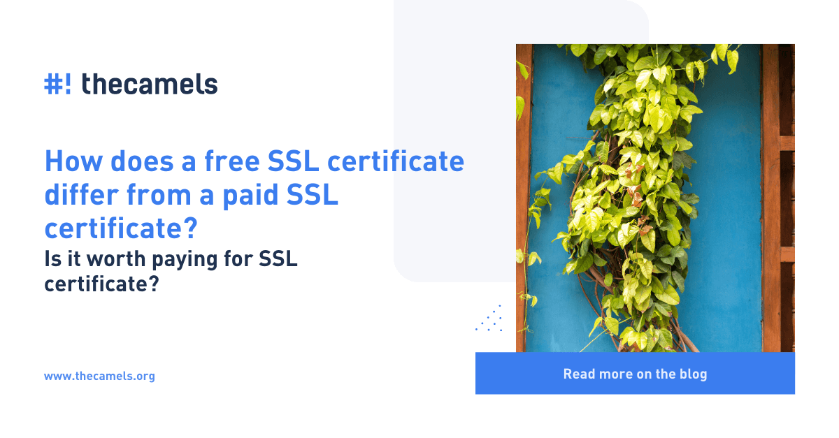 What Is The Difference Between A Free Ssl Certificate And A Paid Ssl