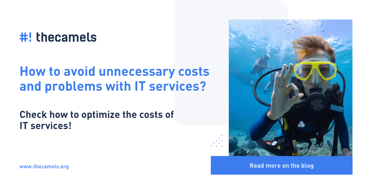 How to avoid unnecessary costs and problems with IT services ...